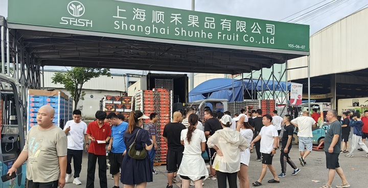 SHUNHE FRUITS FRESH AND NATURAL GLOBAL FARM SOURCING - SHUNHE FRUITS ...